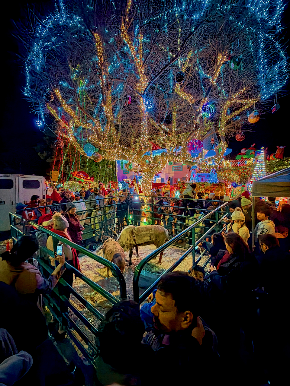 Menashe house was a merry meeting for many | Westside Seattle